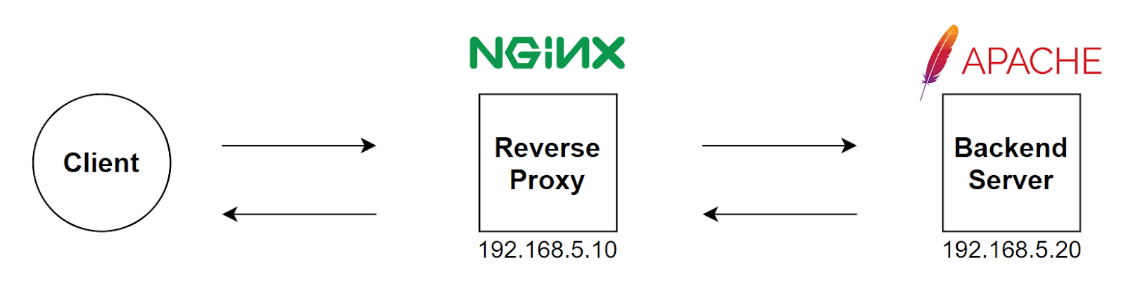 Hướng dẫn cấu hình Reverse Proxy với NGINX