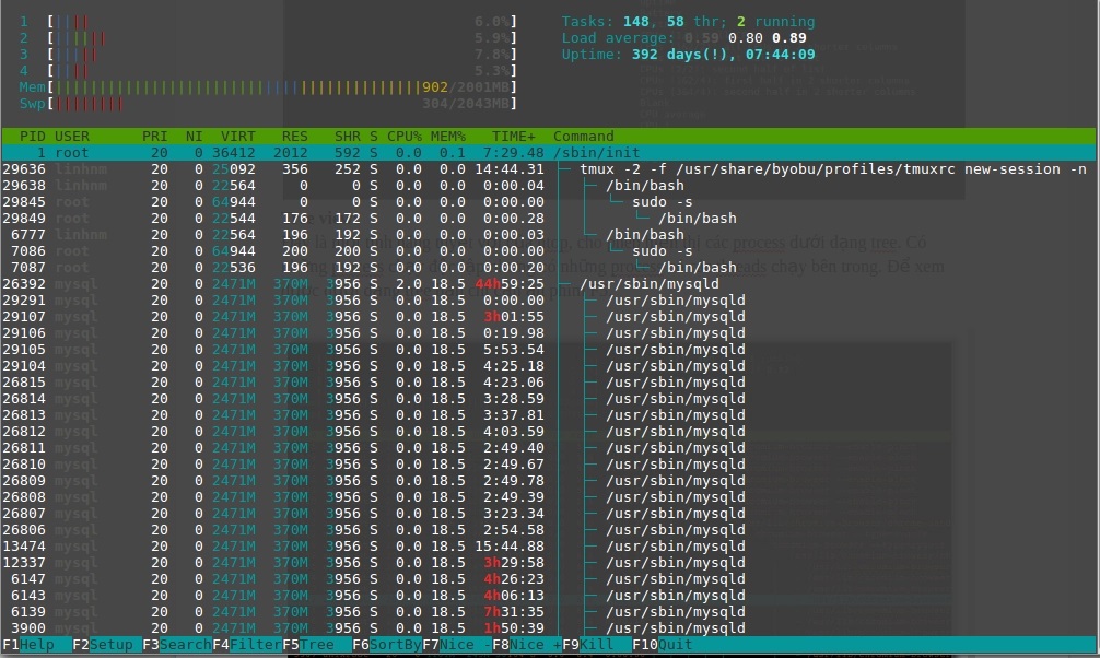 Htop là gì? Hướng dẫn cài đặt và cách sử dụng Htop trên Linux/Unix