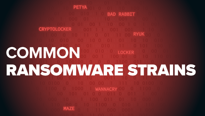 Ransomware Bad Rabbit là gì? Cách phòng tránh mã độc này hiệu quả